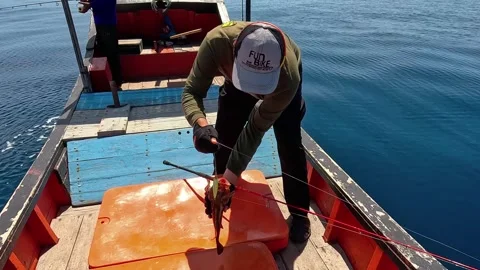 Angler catches fish. Angler go fishing i... | Stock Video | Pond5