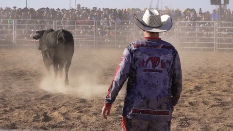 Bull Attack Stock Footage ~ Royalty Free Stock Videos | Pond5