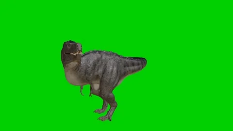 Angry T-Rex Roar Green Screen Front Loop... | Stock Video | Pond5