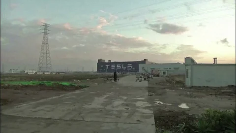 Angry Tesla Shanghai workers vent to Elo... | Stock Video | Pond5