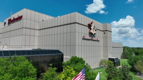 Budweiser Stock Footage ~ Royalty Free Stock Videos | Pond5