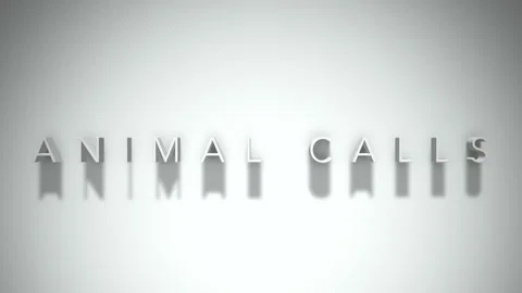 Animal Echolocation Stock Footage ~ Royalty Free Stock Videos | Pond5