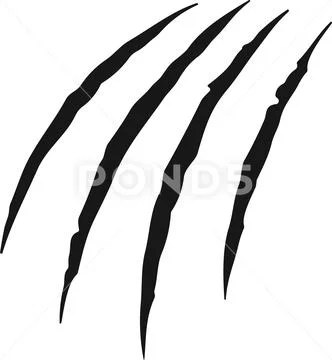 Animal Claw scratch mark. Cat tiger dog lion and bear scratches paw ...