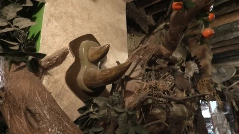 Embalming Stock Video Footage | Royalty Free Embalming Videos | Pond5