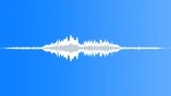 Snow Leopard Sound Effects ~ Snow Leopard Sounds | Pond5