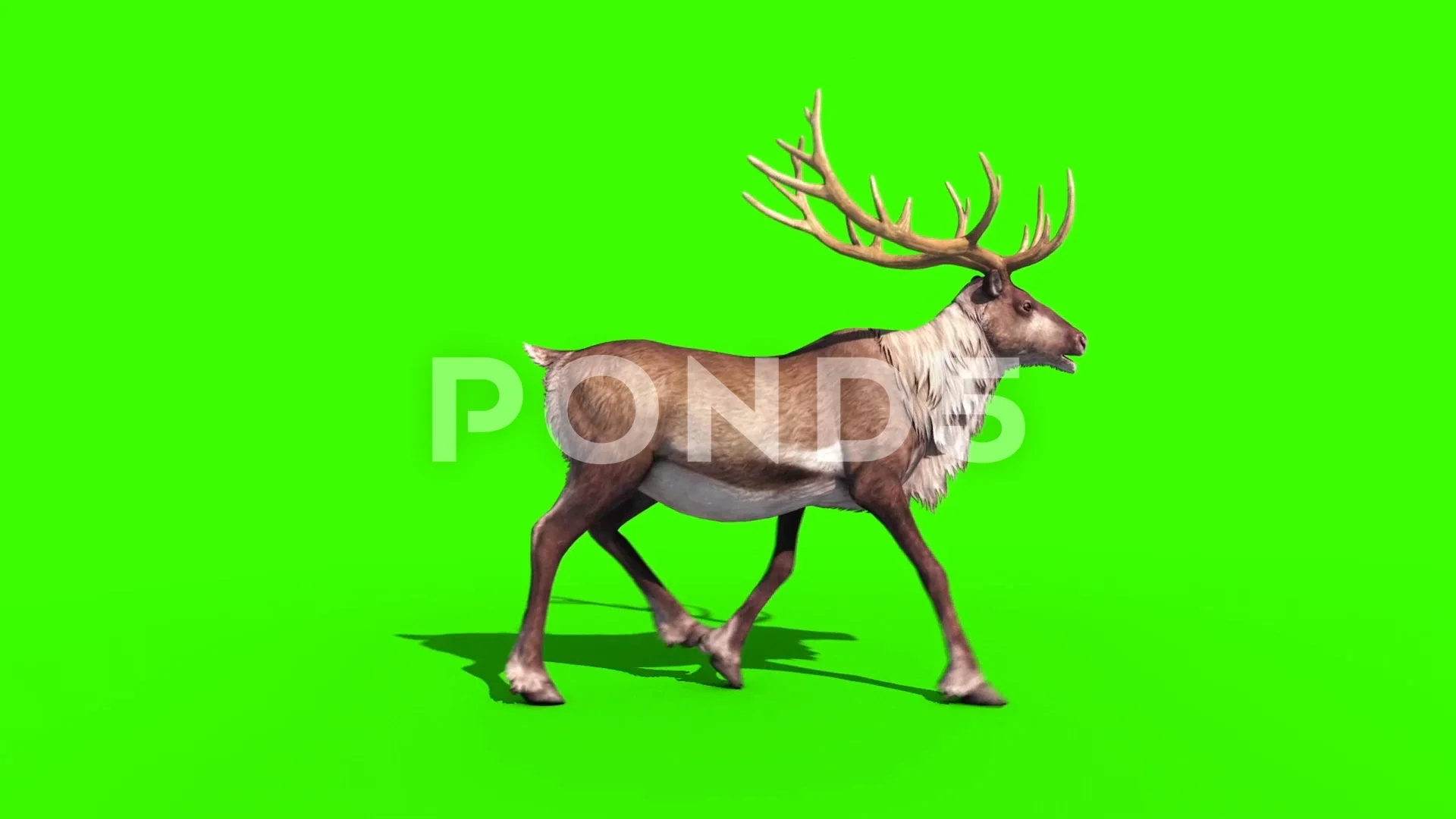 Deer Walk Cycle By Deer Running Motion Frames Silhouettes Vector