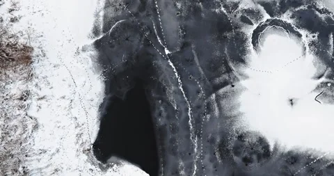 Ice Animal Stock Videos – Royalty-Free HD & 4K Videos