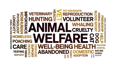 Animal Welfare animated word cloud,anima... | Stock Video | Pond5