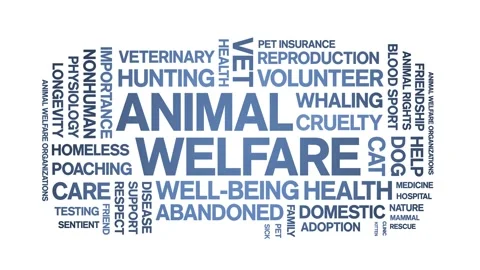 Animal Welfare animated word cloud,anima... | Stock Video | Pond5
