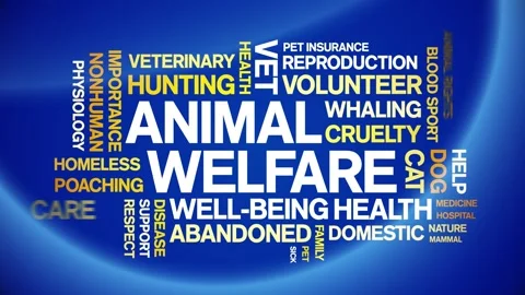 Animal Welfare animated word cloud,anima... | Stock Video | Pond5
