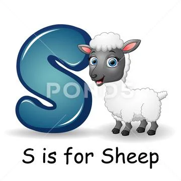 Animals alphabet: S is for Sheep: Graphic #135372617