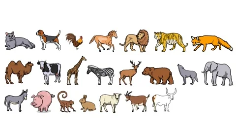 animals background Sketch and 2d animate... | Stock Video | Pond5