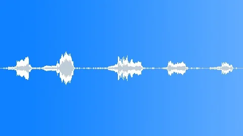 Animals Cats Cat Vocal Meows Deep Groans Paws Movement Distant Kitten ...