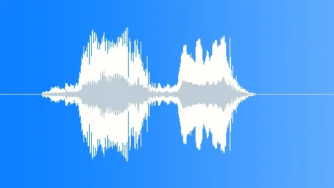 Animals Cows Moo Loud Moo Cow Mooing ~ Sound Effect #259472568