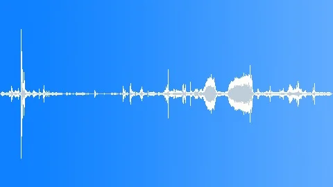 Sound Effect: Animals Lions Male Attack Reaction Rough Reacts Keepers ...