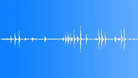 Animals Monkeys Gorillas Chimps Spider Monkey Male Adult Vocal Calls ...