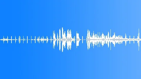 Sound Effect: Animals - Turtles #1 Reel #5; Traffic - Radio Tuning ...