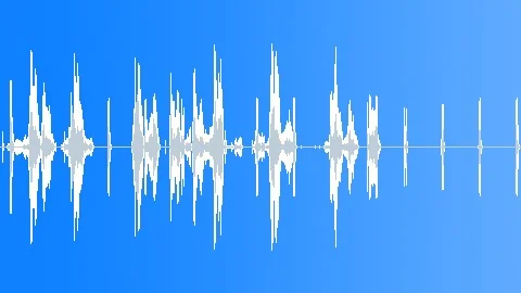 Wolf Whimper Sound Effects ~ Wolf Whimper Sounds | Pond5