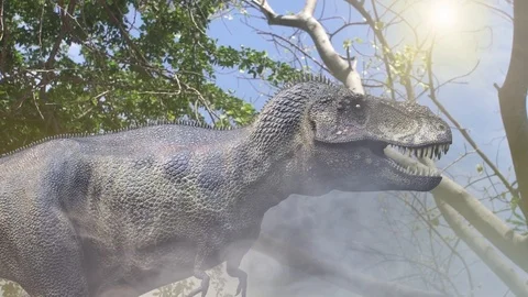 animate a running dinosaur Tyrannosaurus... | Stock Video | Pond5