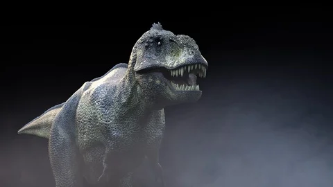 animate a running dinosaur Tyrannosaurus... | Stock Video | Pond5