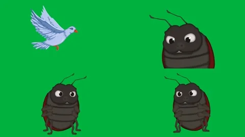 Flat Flying Bug Stock Videos – Royalty-Free HD & 4K Videos