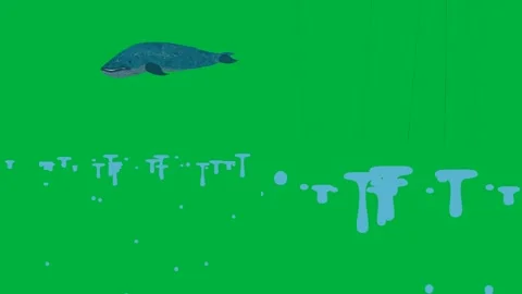 Girl Character Design Stock Videos – Royalty-Free HD & 4K Videos | Page 6