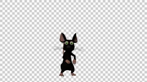 Animated 3D Cartoon Rat Salsa Dancing Wi... | Stock Video | Pond5