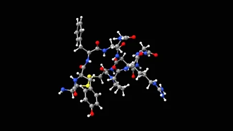 Animated 3D model of antidiuretic hormon... | Stock Video | Pond5