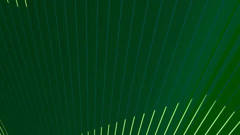 Animated abstract green background | Stock Video | Pond5