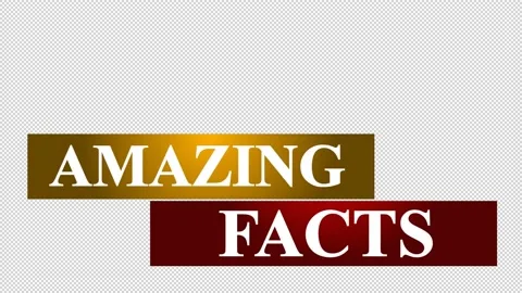 Animated amazing facts lower third, suit... | Stock Video | Pond5