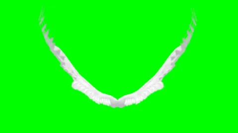 animated angel wings - green screen | Stock Video | Pond5