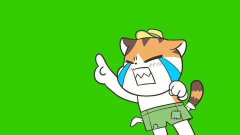 Animated Angry Crying Cat with Green Scr... | Stock Video | Pond5