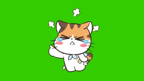 Animated Angry Crying Cat with Green Scr... | Stock Video | Pond5
