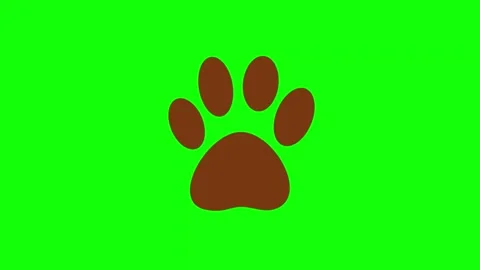 Animated animal paw icon. Animation, pic... | Stock Video | Pond5