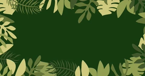 Background Surrounding The Stock Videos – Royalty-Free HD & 4K Videos