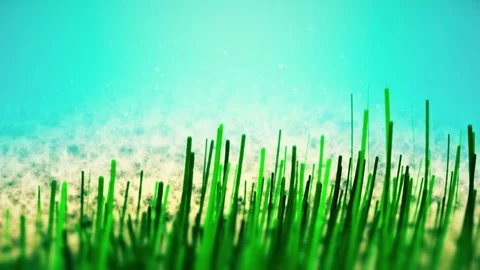 Animated background seabed and sea grass | Stock Video | Pond5