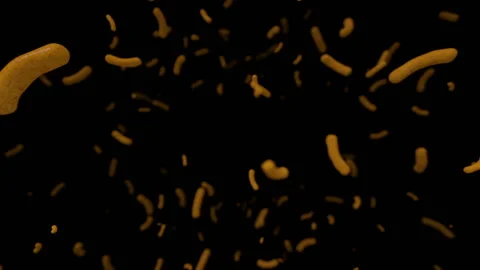 Animated bacteria cells | Stock Video | Pond5
