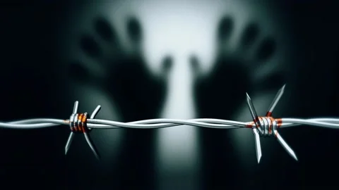 Animated barbed wire | Stock Video | Pond5