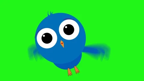 Animated bird flying on green screen Chi... | Stock Video | Pond5