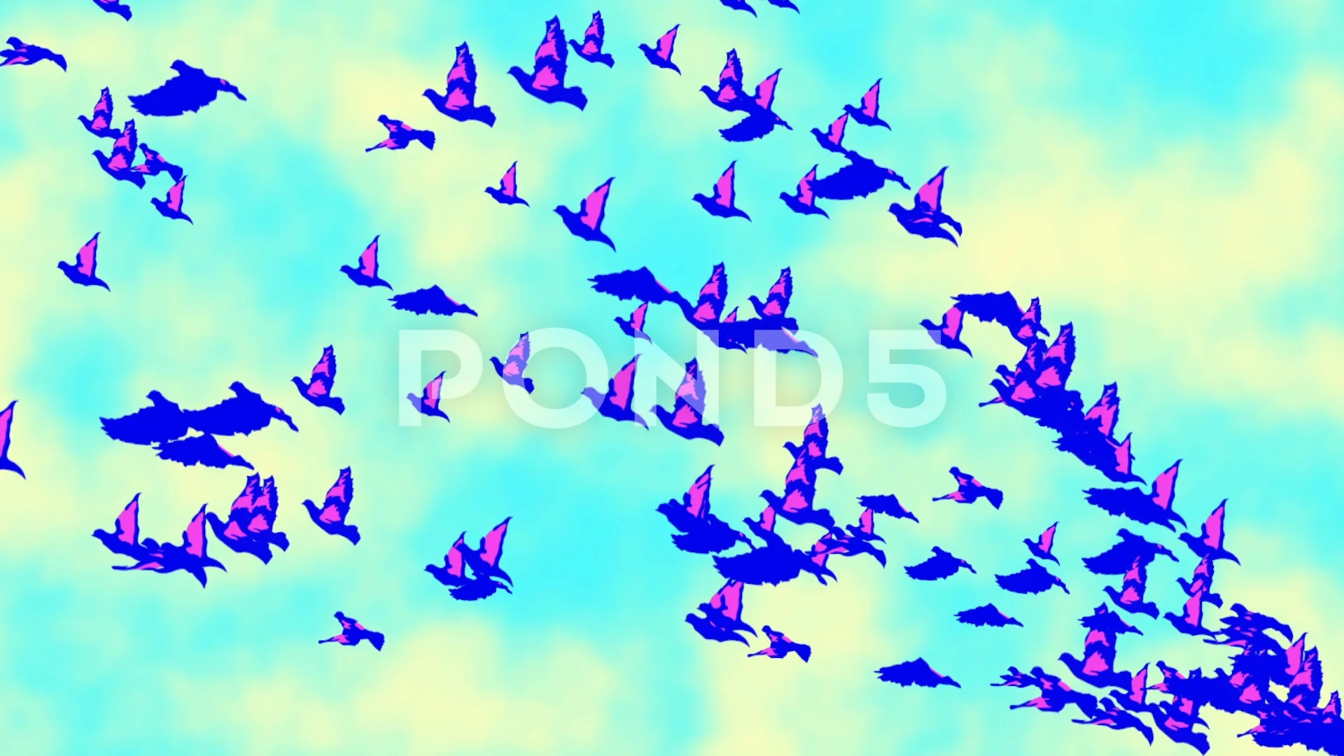Colorful Birds Flying In The Sky