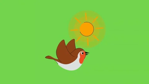 Animated Birds Images Stock Footage ~ Royalty Free Stock Videos | Pond5