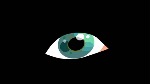 Animated blinking human eye | Stock Video | Pond5