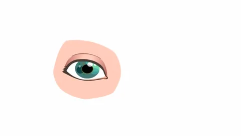 Animated blinking human eye | Stock Video | Pond5