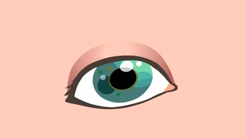 Animated blinking human eyes | Stock Video | Pond5