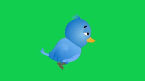 Bird Flying Asset Stock Videos – Royalty-Free HD & 4K Videos