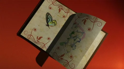 animated book with turning pages,flying ... | Stock Video | Pond5