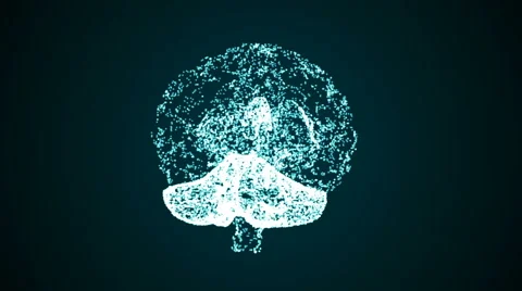 Animated brain formed from points | Stock Video | Pond5