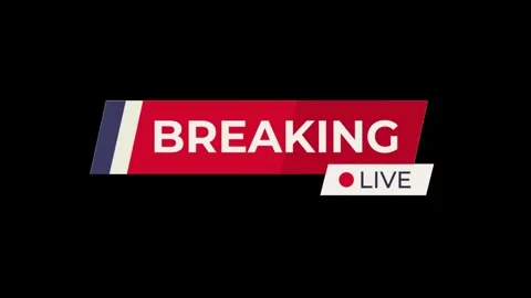 News Logo Stock Video Footage | Royalty Free News Logo Videos | Pond5