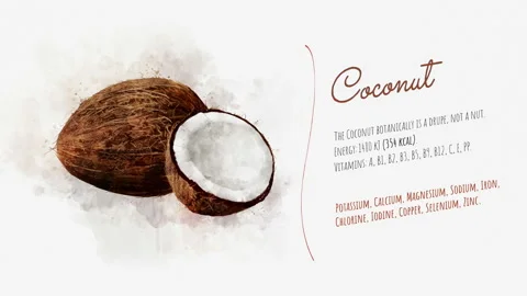 Animated card of Coconut with a list of ... | Stock Video | Pond5