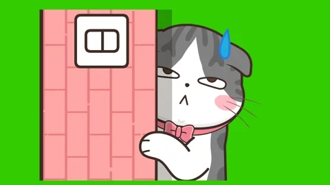 Pop Cat Green Screen Stock Videos – Royalty-Free HD & 4K Videos | Pond5